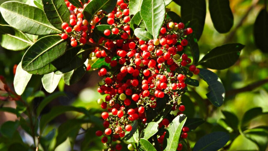 Updated on: January 2024