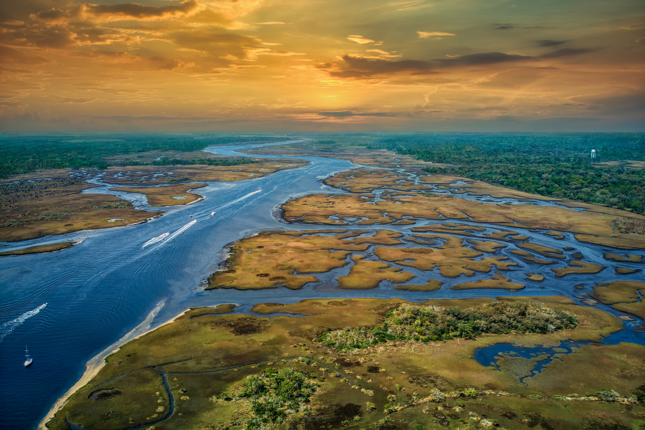 an aerial shot of the Everglades
